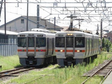 「アルファベット順の奇跡」313系（静岡車）V12編成とW6編成の並びが実現 | 鉄道ホビダス