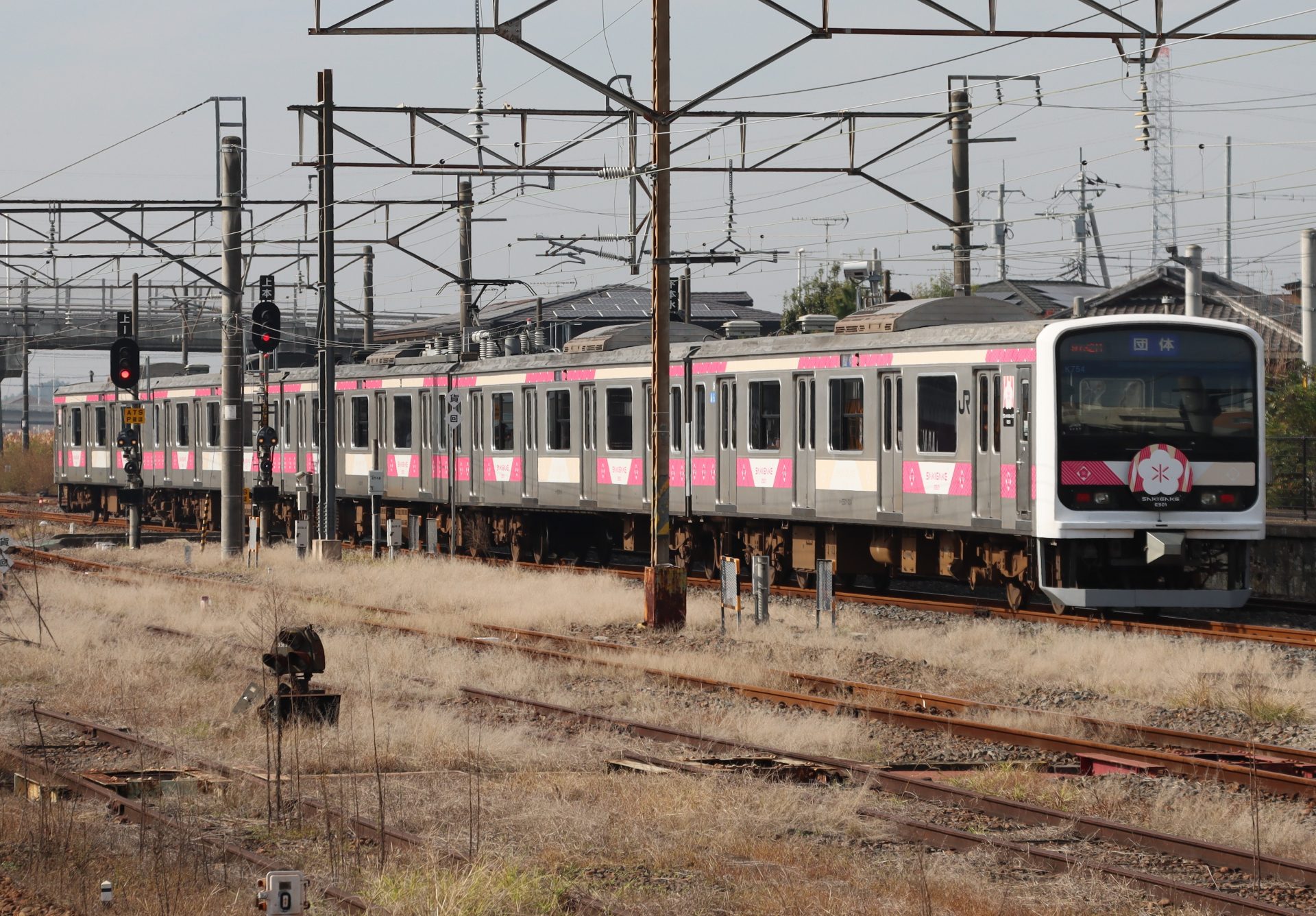 【E501 SAKIGAKE 初運行！】「水戸線地酒列車」運転 | 鉄道ホビダス
