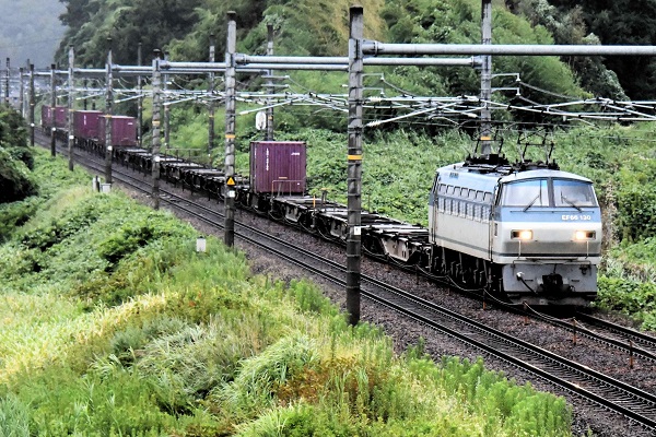 EF66 130が5085列車を代走 | 鉄道ホビダス