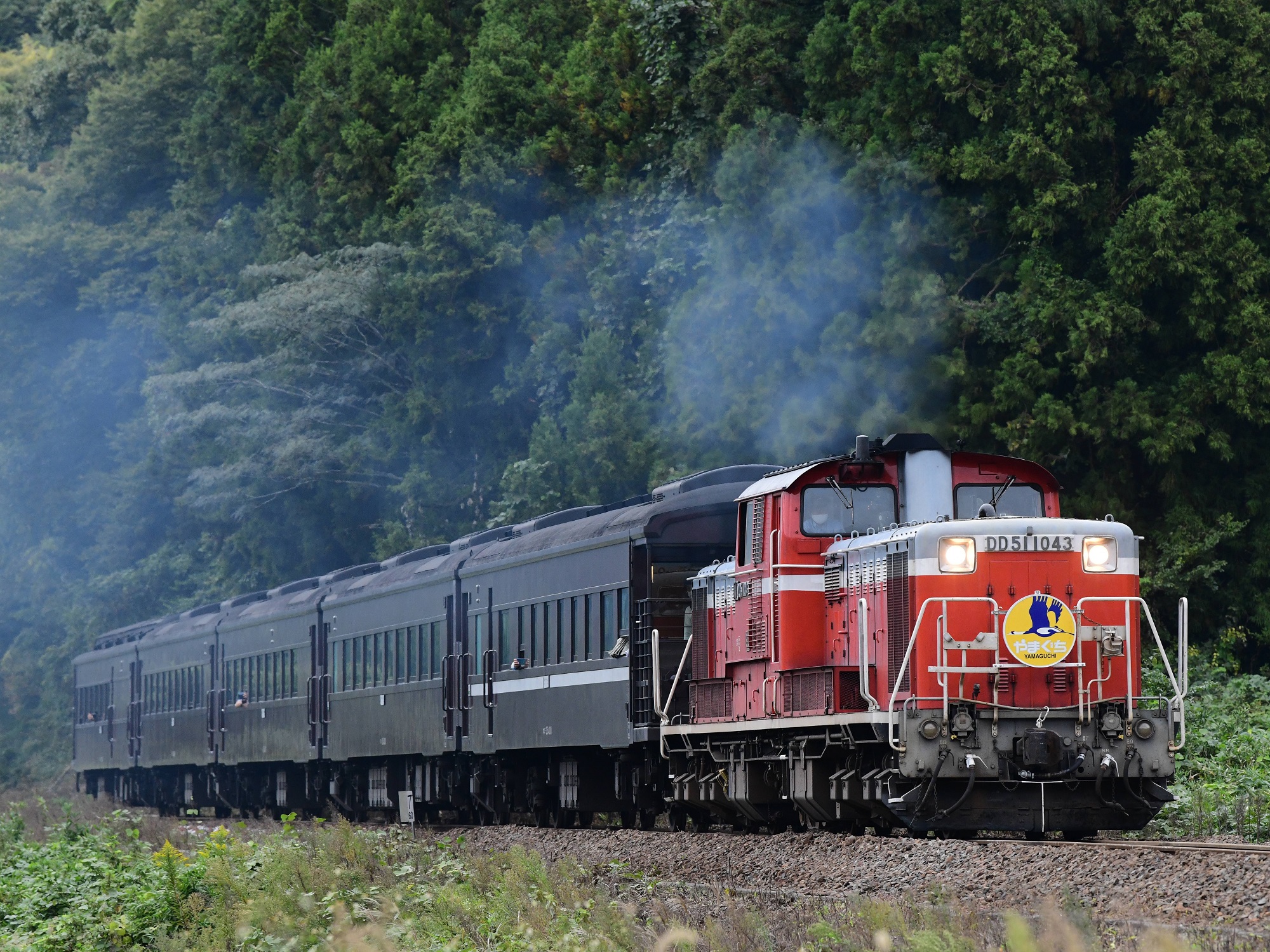 DD51がSL「やまぐち」号を牽引 | 鉄道ホビダス